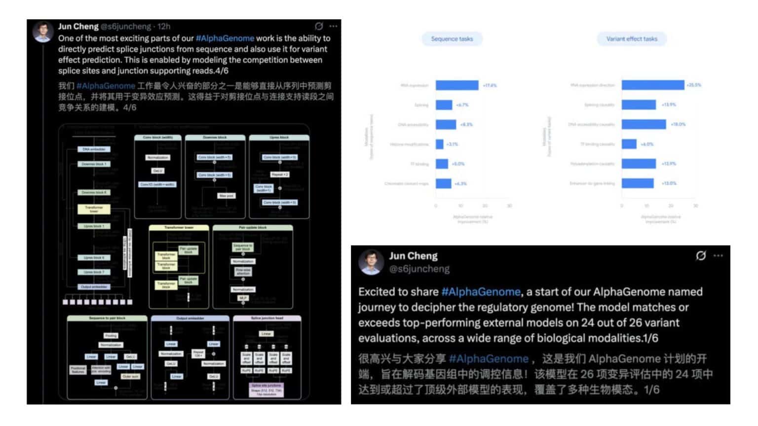AlphaGenome：谷歌DeepMind再度引爆基因科技革命 | AiF insight